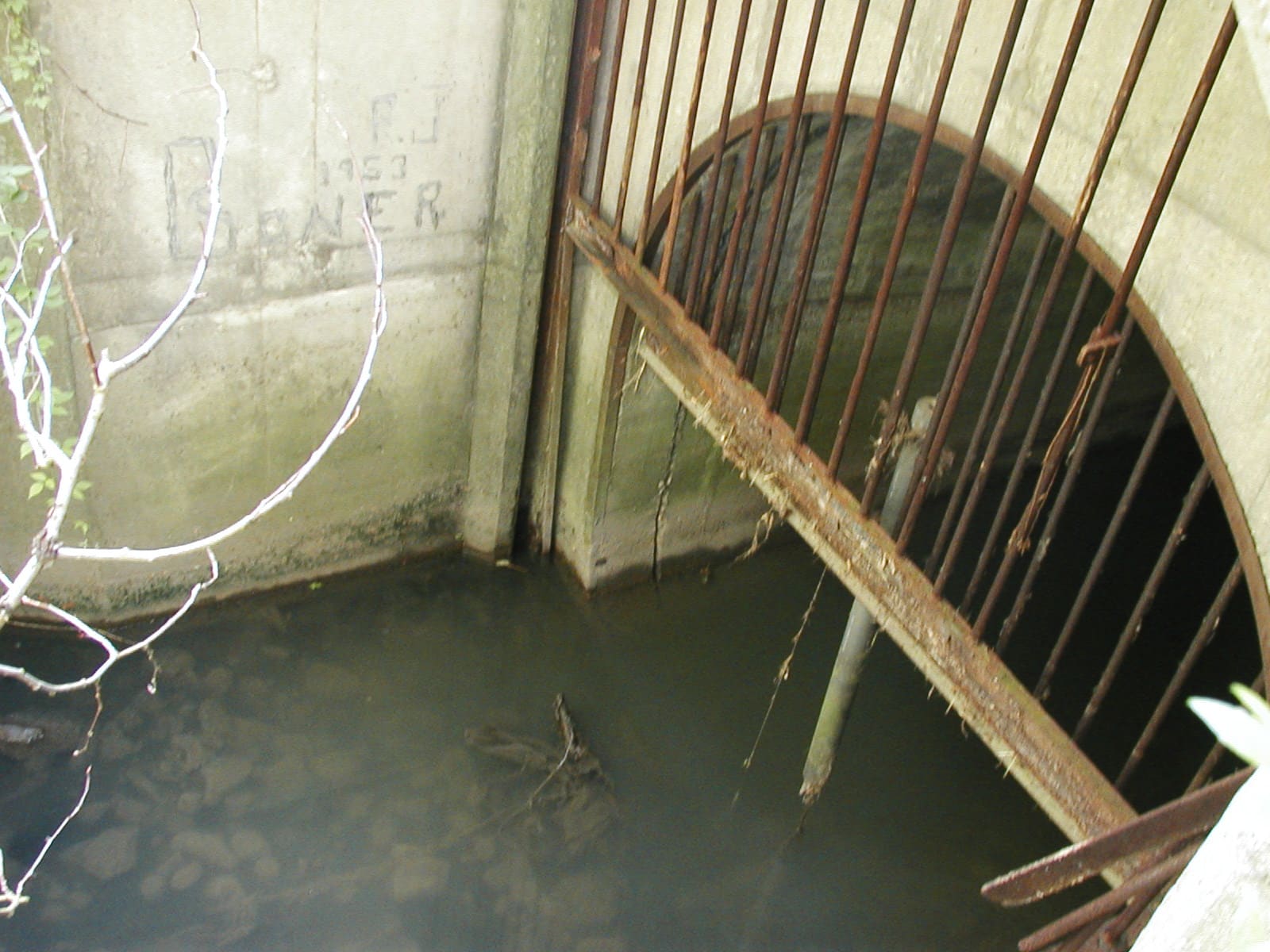 Toronto's Lost Rivers - Sierra Club Canada | Sierra Club Canada