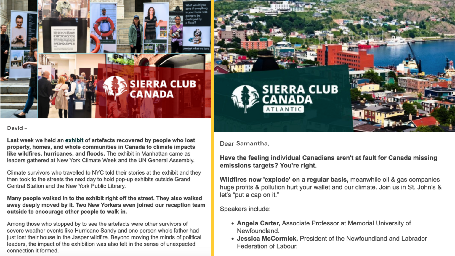 Subscribe for updates - our weekly newsletter, action items, and ...